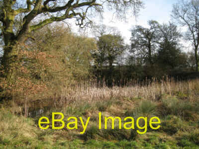 Photo 12x8 Pond south of Hobditch Blunt's Green Tanworth Lane runs ...