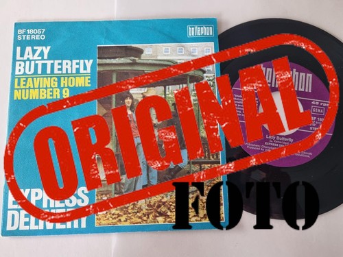 7" Single Express Delivery - Lazy butterfly Vinyl Germany | eBay