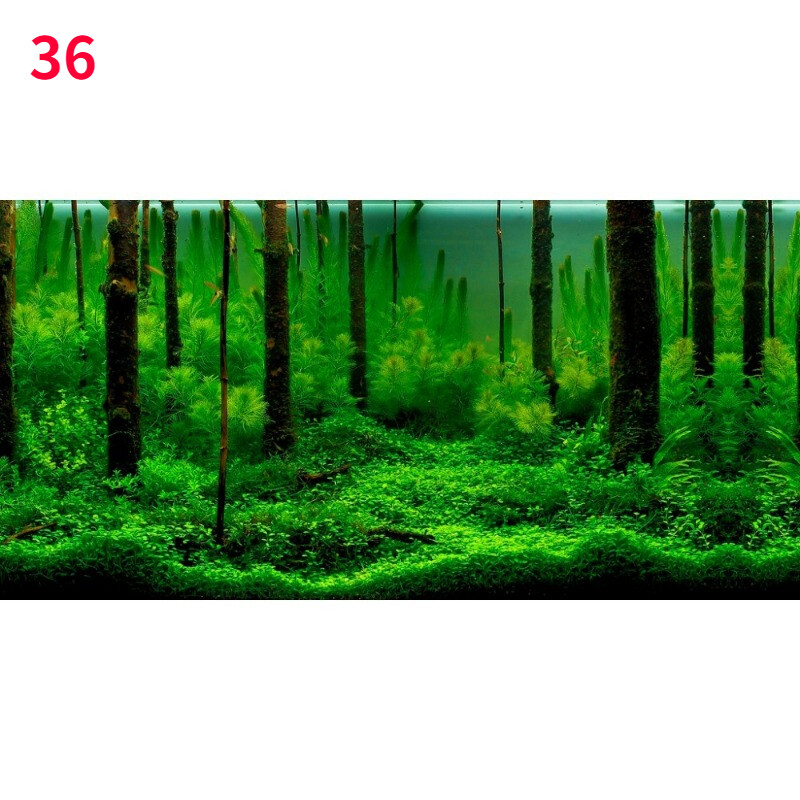 3D Forest Fish Tank Background Sticker Self Adhesive Landscape Aquarium ...