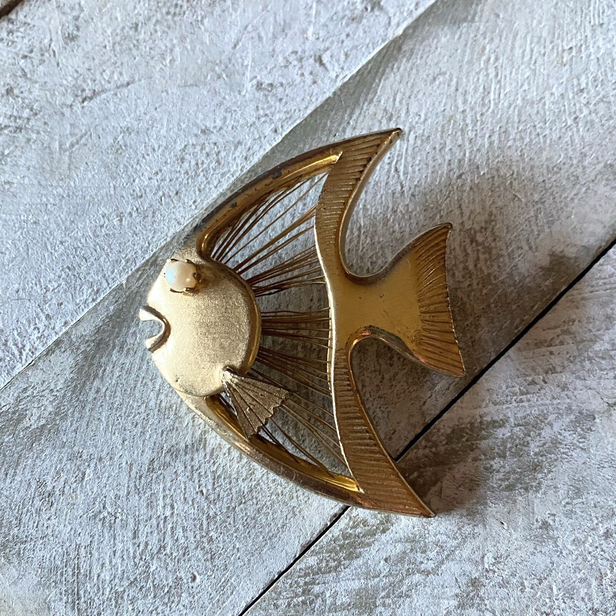 Pearly Gold Angelfish