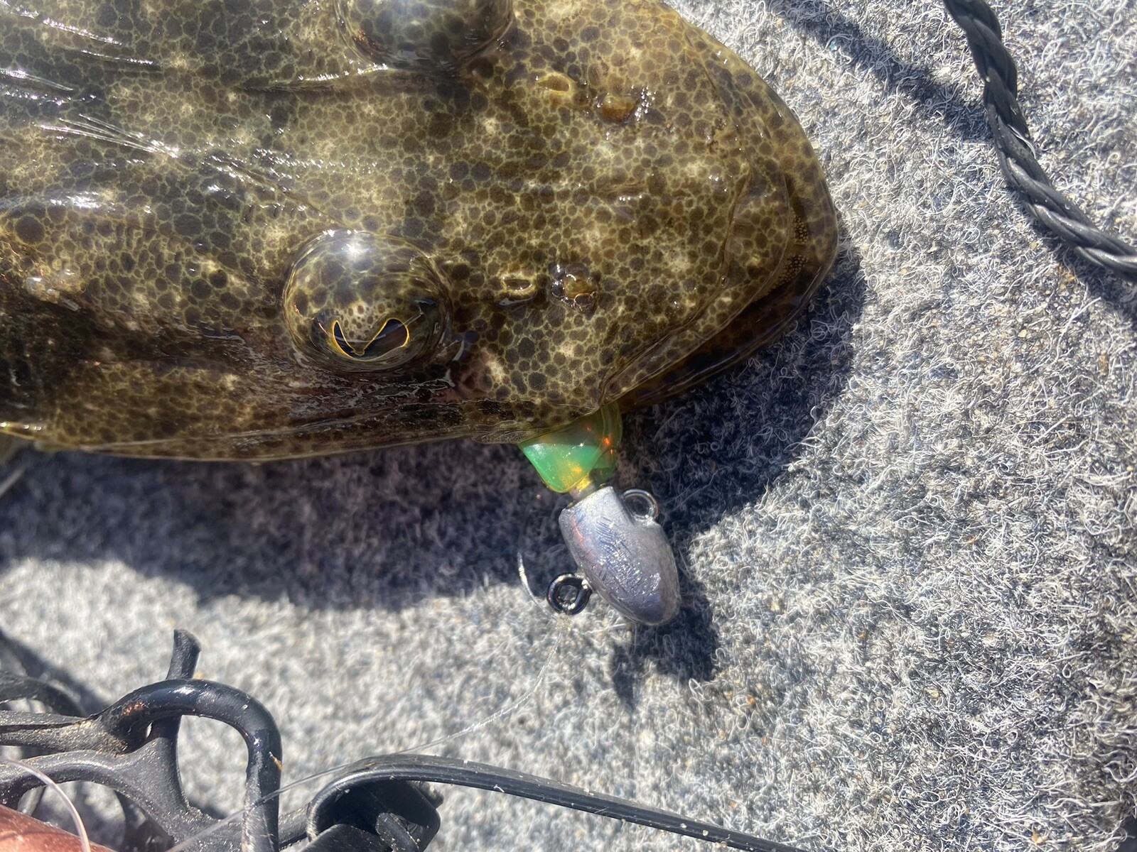 Soft Plastics Jig heads Fishing Hooks Gulp Zman Squidgies - Bream ...