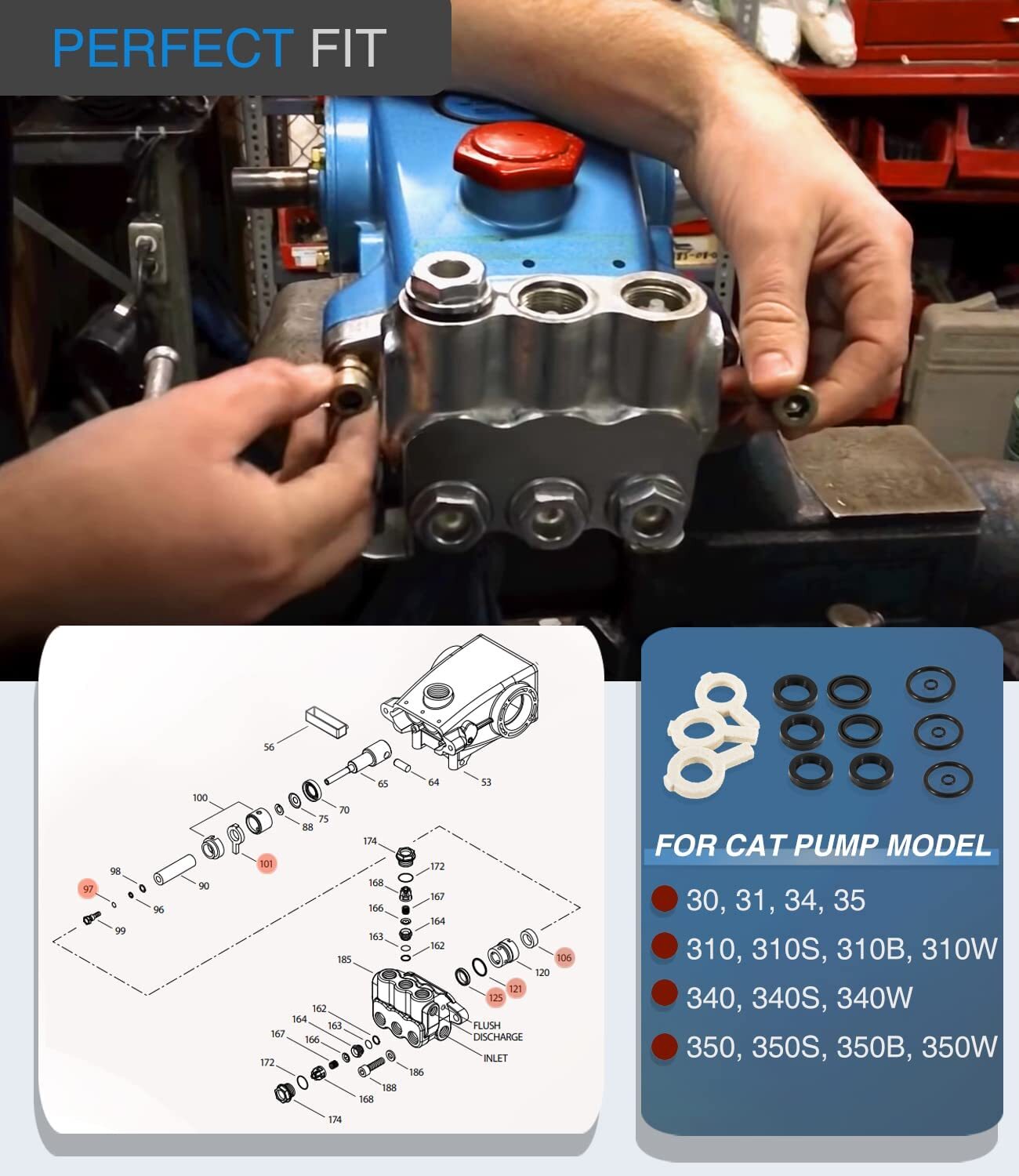 30623 Seal Kit Replacement for Cat Pump Model 30 31 34 35 310 340 350 ...
