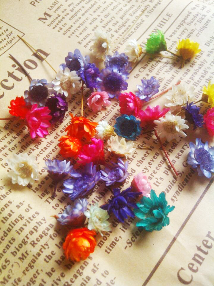 Various Dried Preserved Daisy Pampas Grass Flower Arrangement Wedding ...