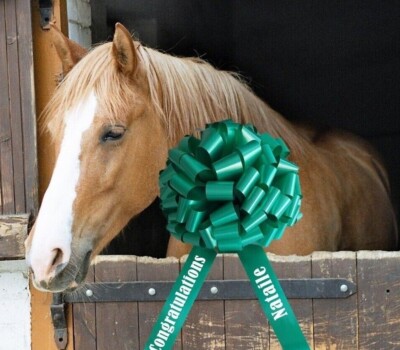 Horse rosettes ,Giant Bow 14" personalised horse rosettes, large ...