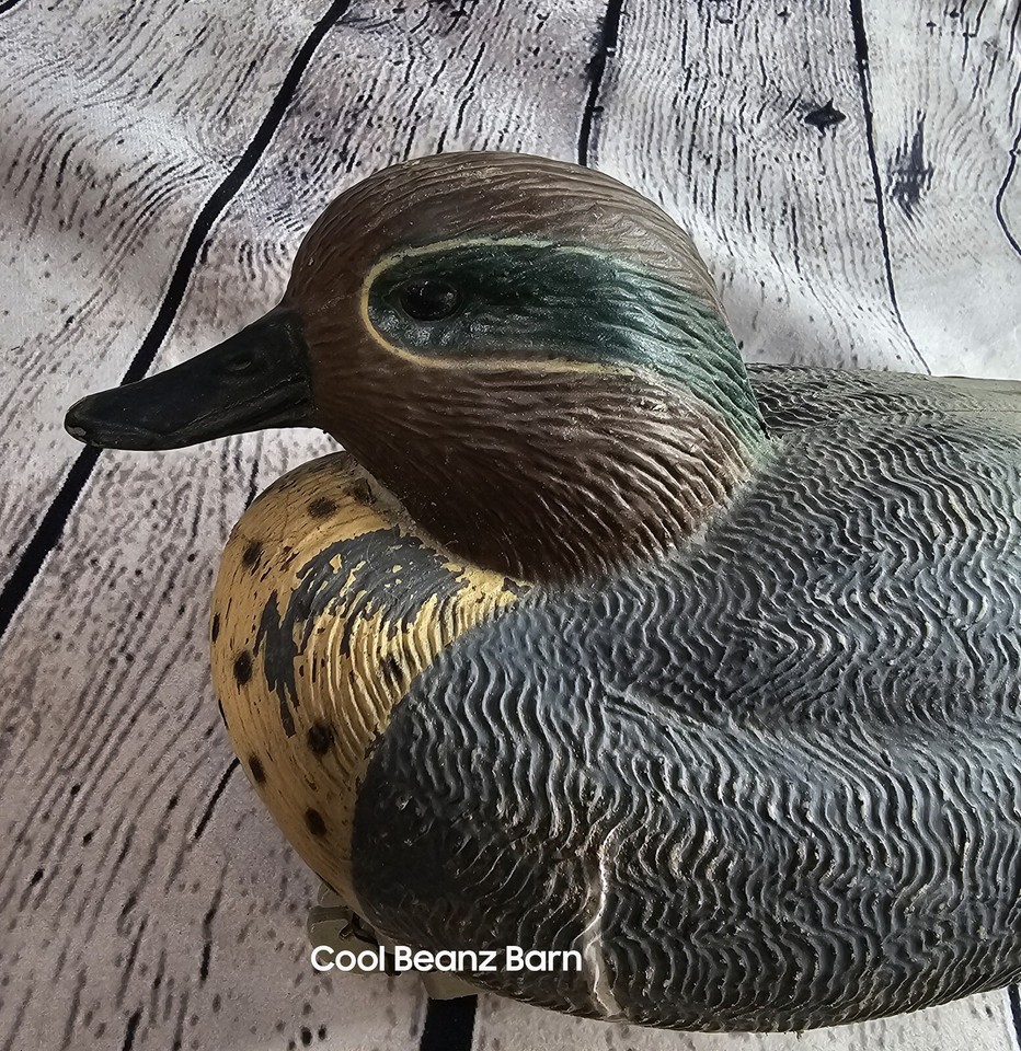 Greenhead Gear Life Size Green-Winged Teal Drake Decoy 2003 60/40 Keel Dented | eBay