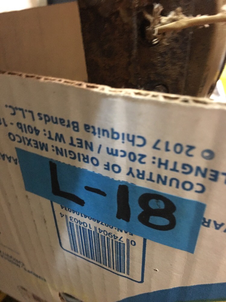 1983 Ohio Temp. Car License Plate 1973 AMC. (TOLEDO OHIO) | eBay