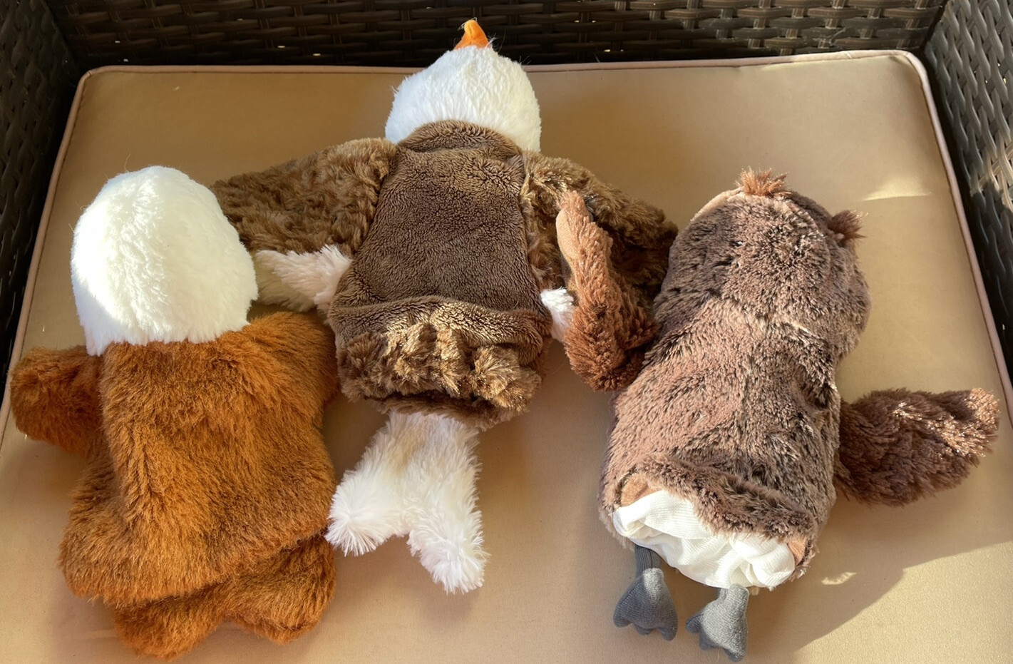 Caltoy Eagle Full Body Hand Puppet With Another Eagle And Owl Puppets ...