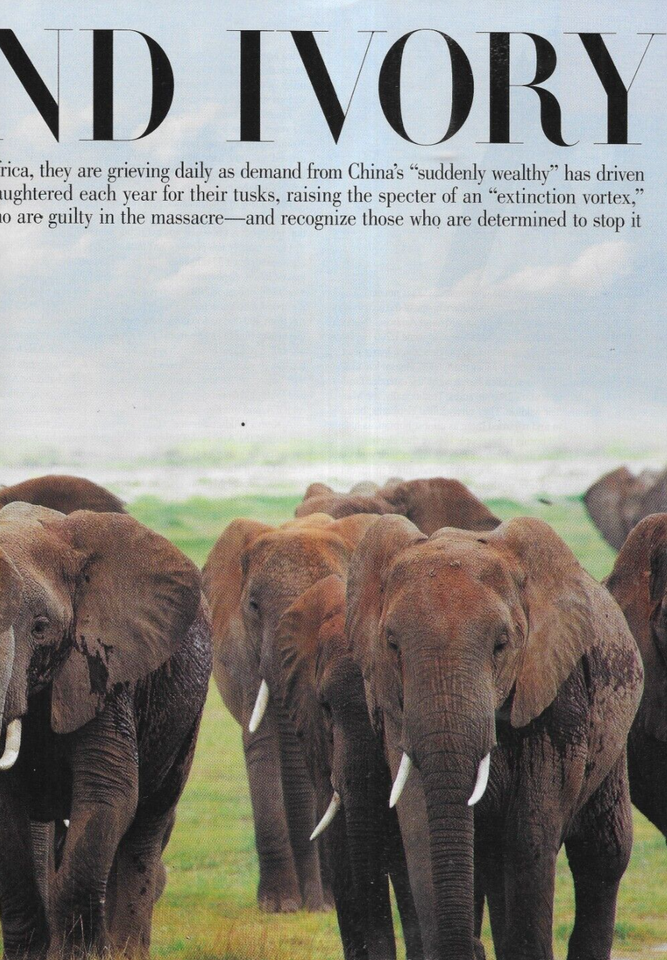 Vanity Fair Magazine Emma Stone Prince Andrew Slaughter of Elephants ...