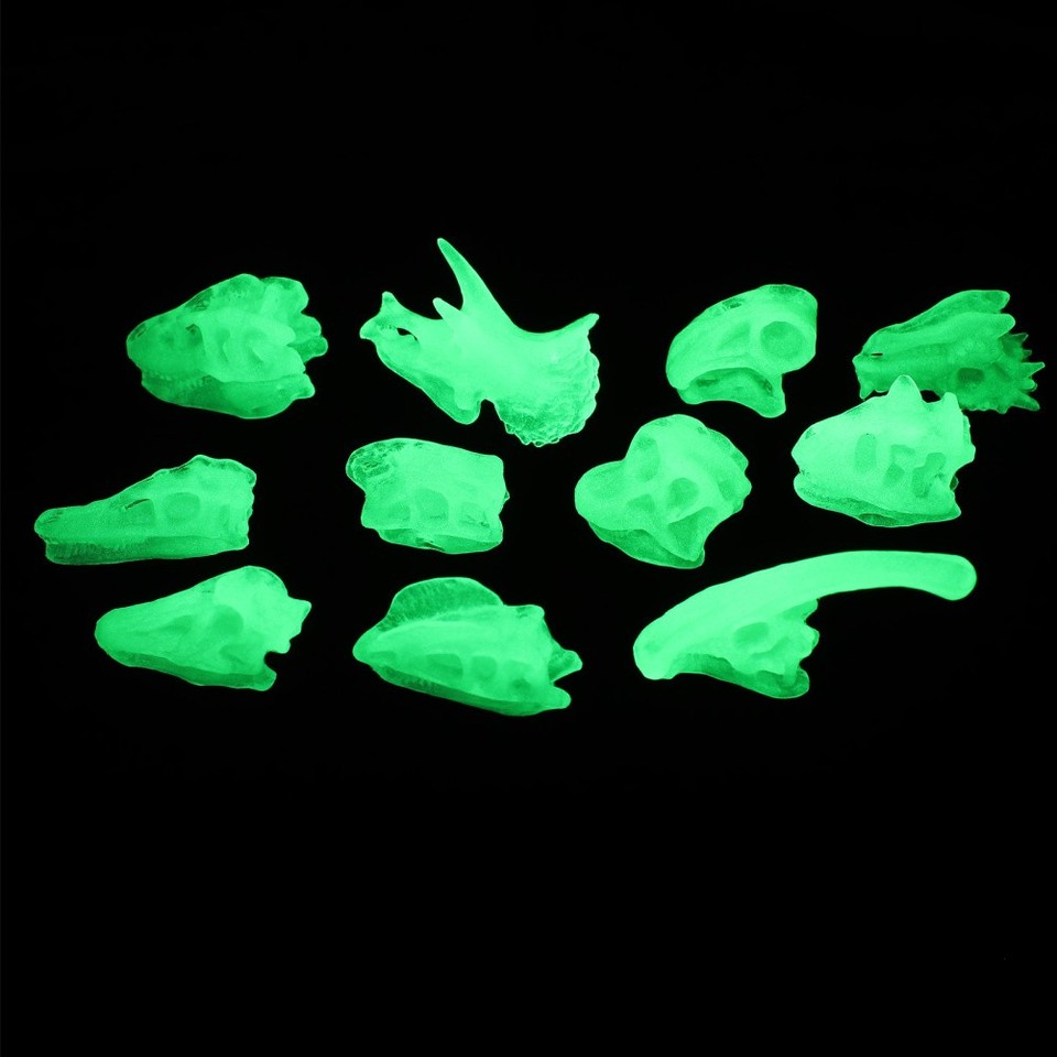 Dinosaur Bone Model Luminous Dinosaurs Toy Plastic Toys Skull Models ...