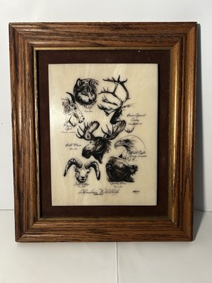 Bill Devine 1977 Kiana Alaska Mint Wildlife Etched Marble Plaque SIGNED ...