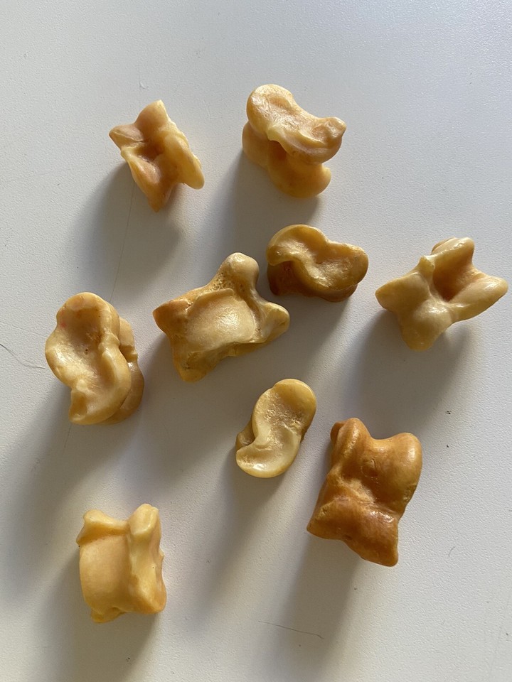 Vintage Knuckle Bones Jacks Five Stones Knucklebones | eBay