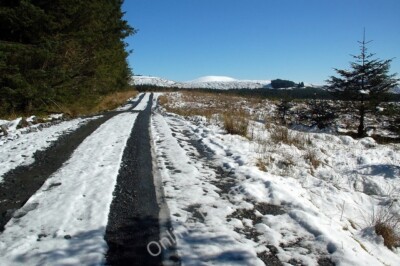Photo 6x4 Galloway Forest Track Craiglaigh Hill Viewed in melting snow ...