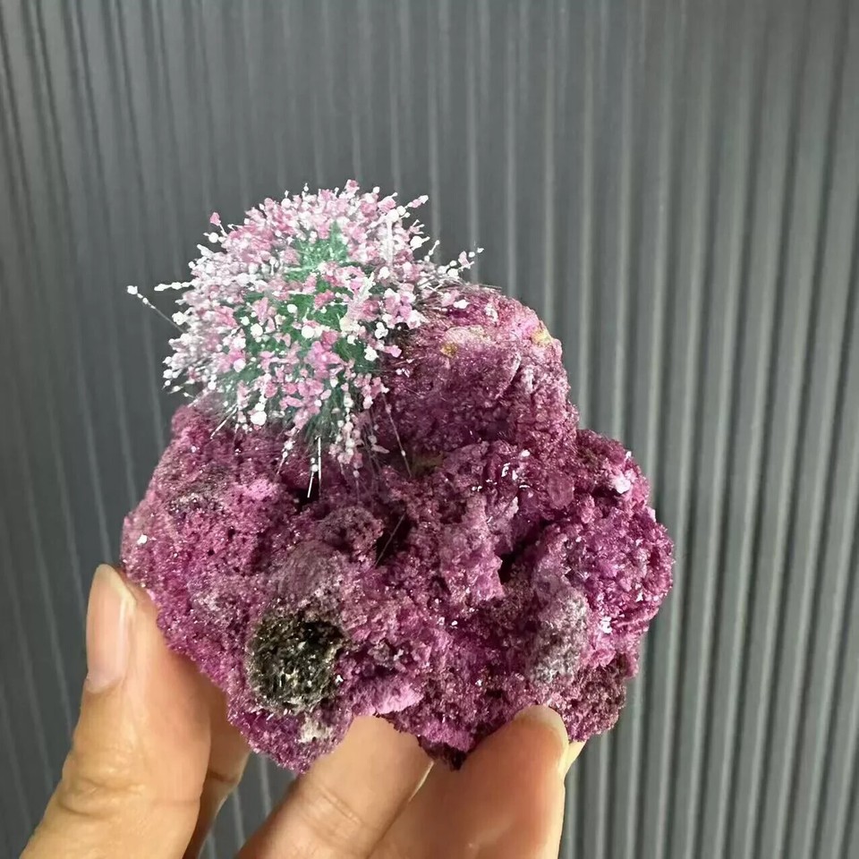 200g+ Natural ruby Crystal Quartz Energy Ore Healing Mineral Specimen ...