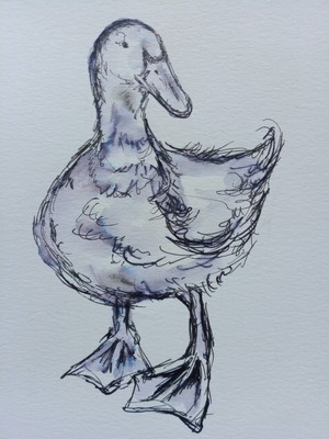 Original Small Hand Drawn Ducks Pen & Ink Drawing Sketch of a Duck ...