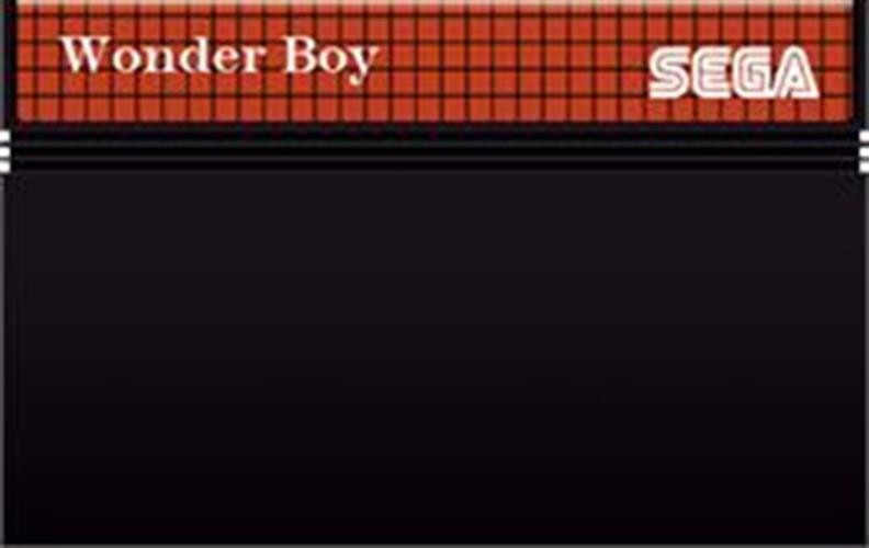 Wonder Boy - Sega Master System Software Action Adventure Platformer ...
