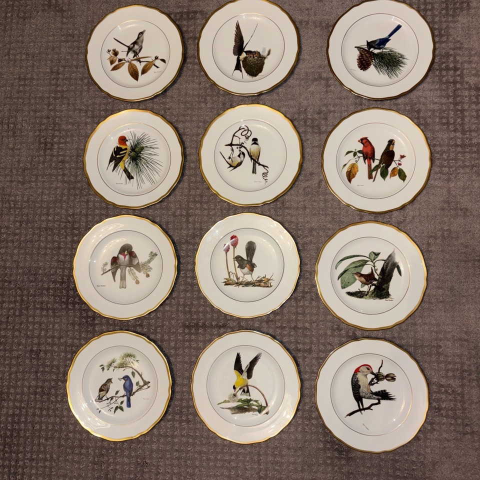 12 Spode Ray Harm American Songbird Collector Plates Ltd Ed 1970s 9 In ...