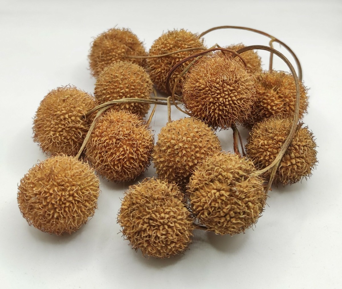 Plane Tree Nuts Can You Bring Nuts On A Plane?