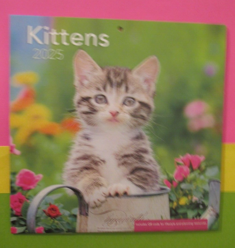 2025 MINI 7X7" KITTENs + CATs - Monthly Wall CALENDAR Photos Color ...
