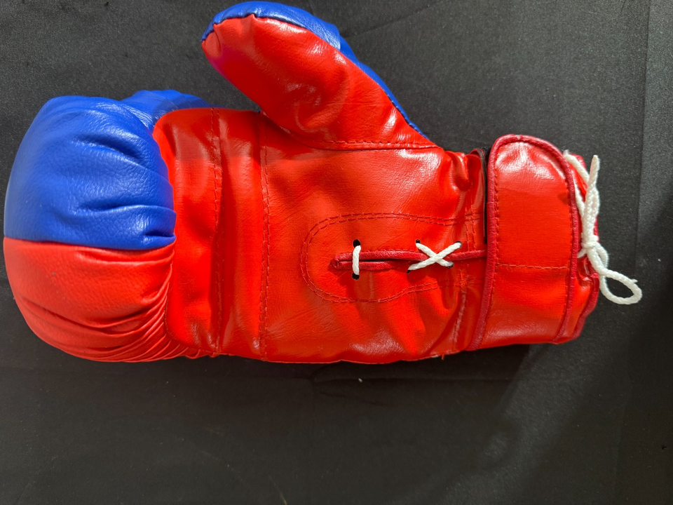 manny pacquiao signed Boxing Glove Autographed PSA | eBay