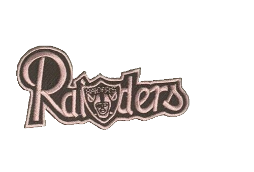 Las Vegas/ Oakland Raiders Embroidered Iron On Patch NFL Cosplay | eBay