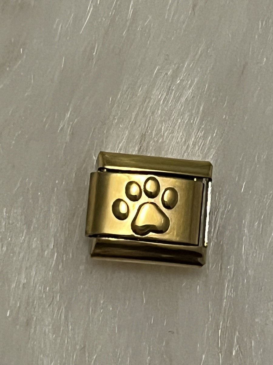 Gold Dog My New Pet | I've Started Collecting Shiny Gold Dogs From