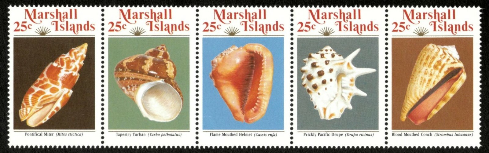 Marshall Islands 1989 - Seashell Types - Strip of 5 - Scott 220a - MNH ...