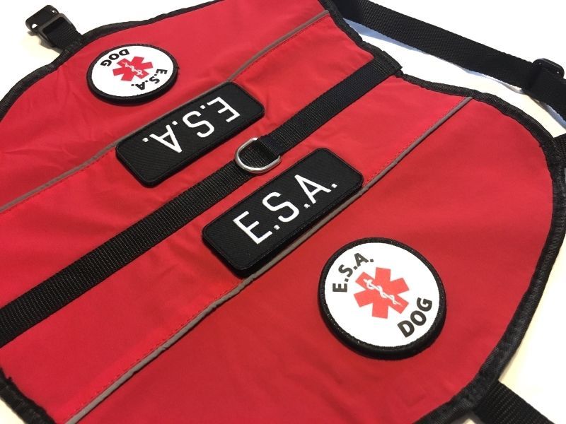Service Dog Vest ESA Harness Emotional Support Animal Patches ALL ...