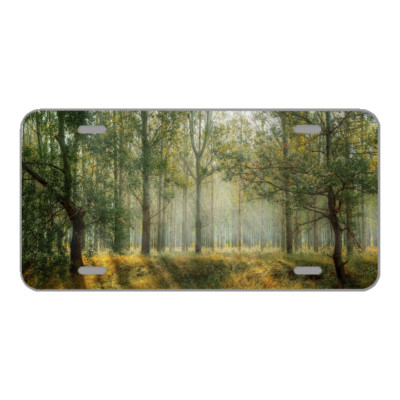 Custom Novelty License Plate With Gorgeous Sunny Woods Picture Add Text ...