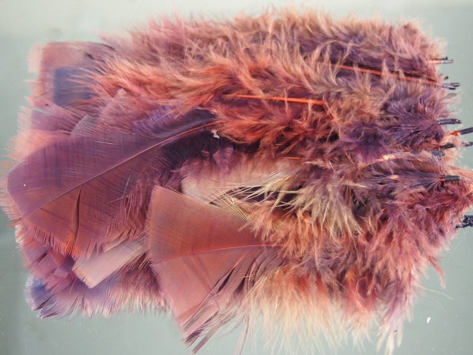 Small Feathers Quill Barb Ostrich Soft Fluffy Plumage Decoration ...