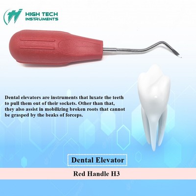 Dental Surgery Elevator Root Tip Extraction Red Handle H3 Teeth ...