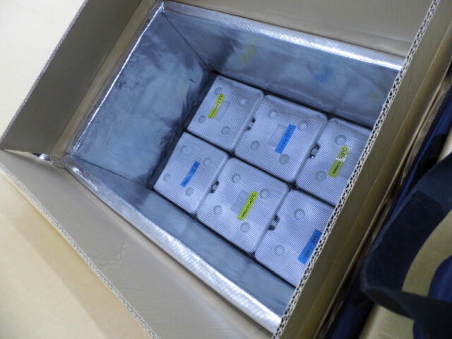 POLAR THERMAL PRODUCTS 216DT INSULATED VACCINE SHIPPER CONTAINER | eBay