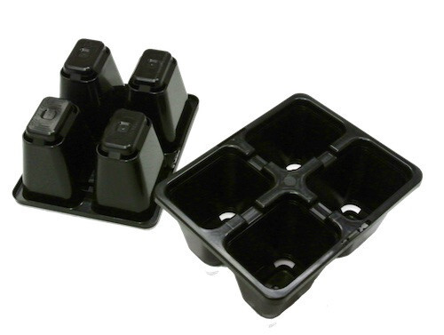 4 Cell Punnet ( 0.5L) x 60pcs - Great for Seedling & Plant Cutting ...