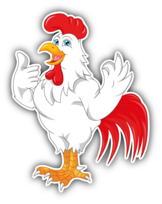 Funny Cartoon Rooster Car Bumper Sticker Decal - ''SIZES'' | eBay