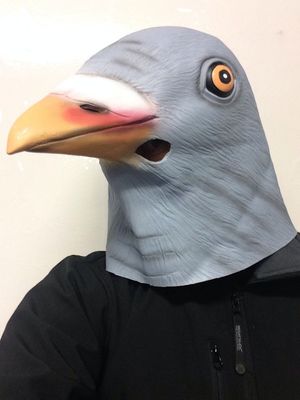 Pigeon Mask Latex Full Head Fancy Dress Party Stag Animal Masks | eBay UK