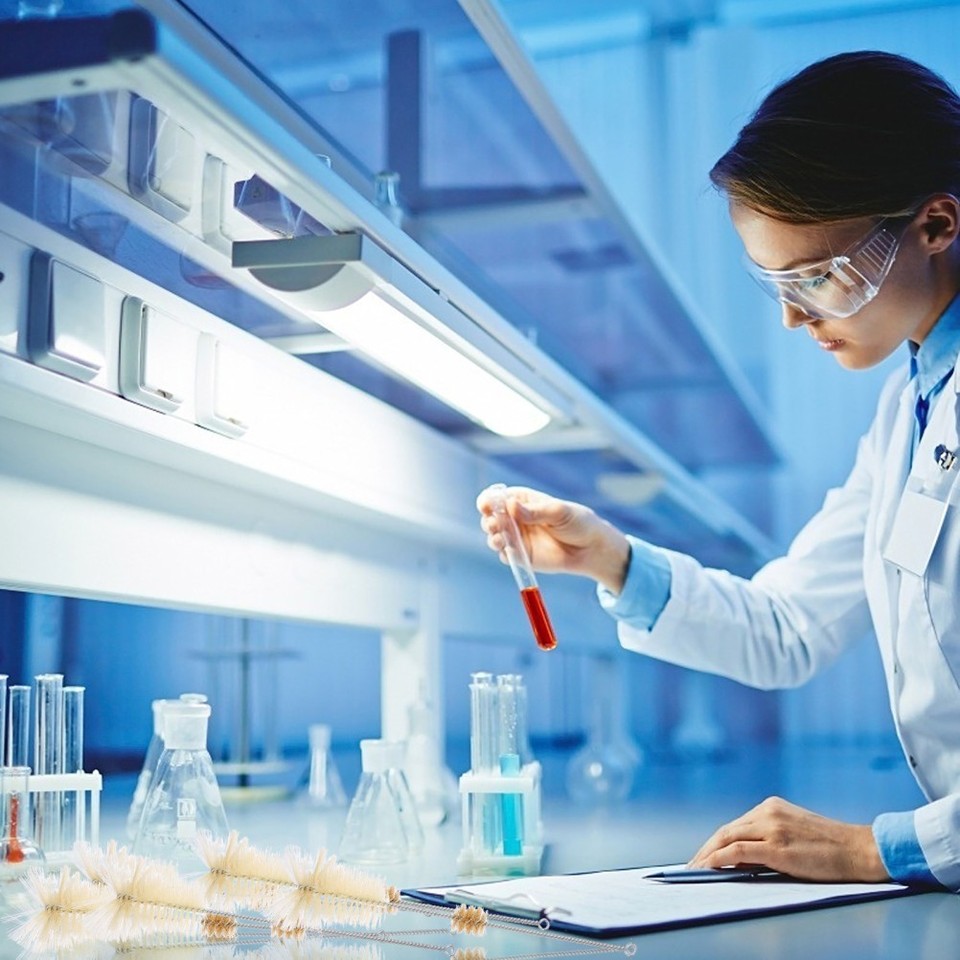 4 Pcs Straw Brush Set Bristles Tube Cleaner Glass Test Tube Cleaning ...