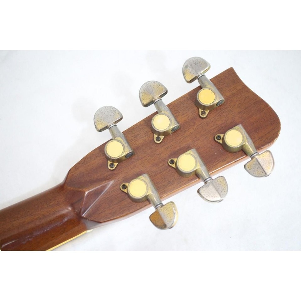 Gallagher GL-10 Acoustic Guitar with Hard Case, Slight Wear, Mid Range ...