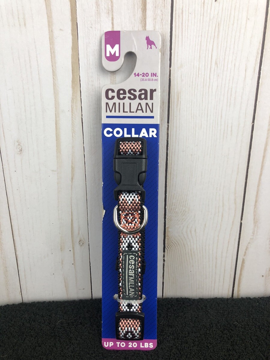 Cachorro Cesar Milan Cesar Millan’s Dog Bit Gymnast And Killed