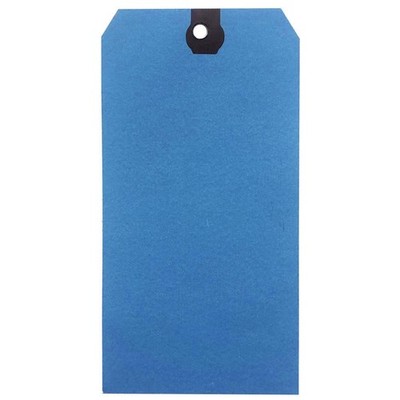 GRAINGER APPROVED 61KT35 Blank Shipping Tag,Paper,Blue,PK1000 61KT35 | eBay