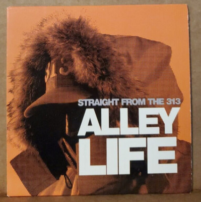Straight From The 313 Alley Life (CD) | eBay