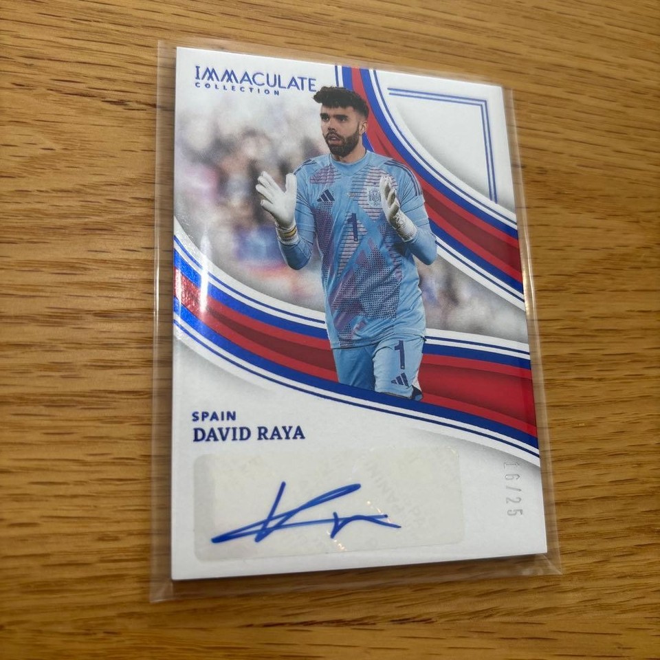 David Raya autograph card 16 25 autograph | eBay