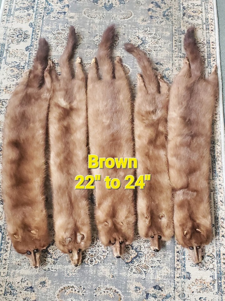 Professionally Tanned Mink, Mink Pelt, Mink Skin, Mink Hide, Mink Fur ...