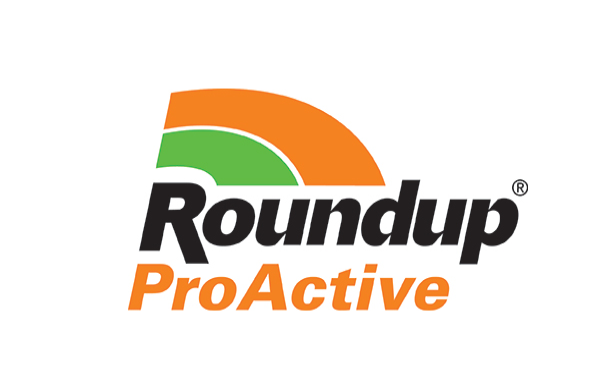 Roundup Pro Active 360 Glyphosate Professional Weedkiller 1 or 5 Ltr ...