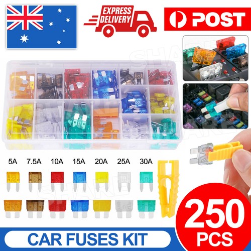 250PCS Standard Blade Auto Car Fuses Assorted Assortment Kits Set 5-30A ...