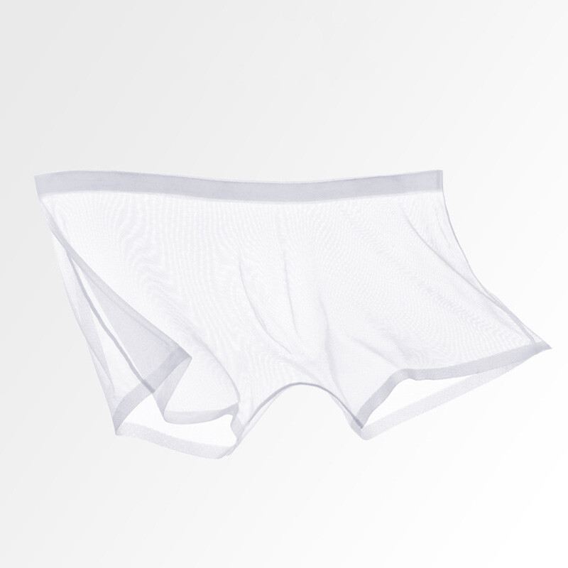 Men Boxer Briefs Sheer See Through Sexy Underwear Mesh Shorts Trunks ...