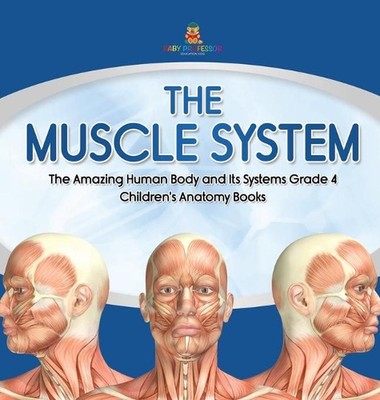 The Muscle System The Amazing Human Body and Its Systems Grade 4 ...