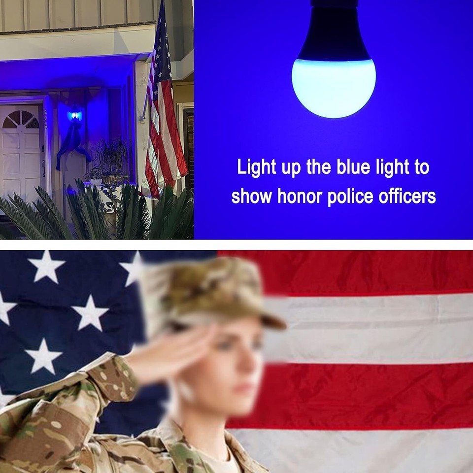 LED Blue Color Light Bulb A19 E26 Base Blue Bulbs 9W 60W Equivalent 2 ...