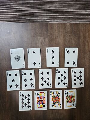 Vintage Starcraft Set Of 13 Suit Of Spades Ace Thru King Rook Back ...
