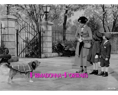 JULIE ANDREWS 8X10 Lab Photo 1964 "MARY POPPINS" Dog & Kids Scene Movie ...