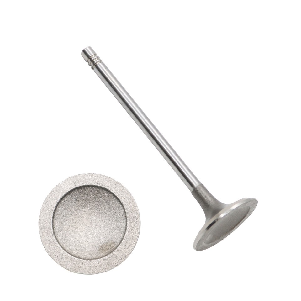 Engine Intake Valves & Exhaust Valves 16pc Kit Fit for Audi VW 2.0T 2 ...