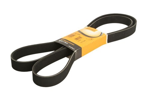 V-Ribbed Belt CONTITECH 8PK2020 | eBay Australia